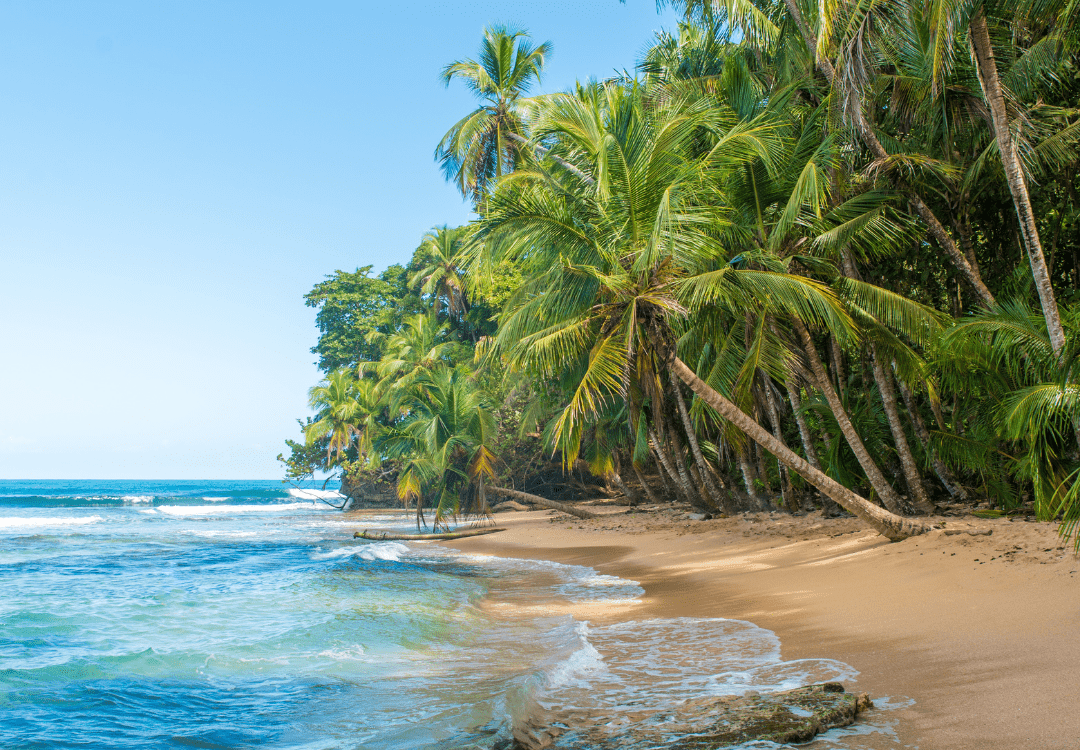 Qué ver y qué hacer en Costa Rica - Blog de 51Trips